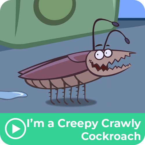 Content for 6-year-olds | Curious World